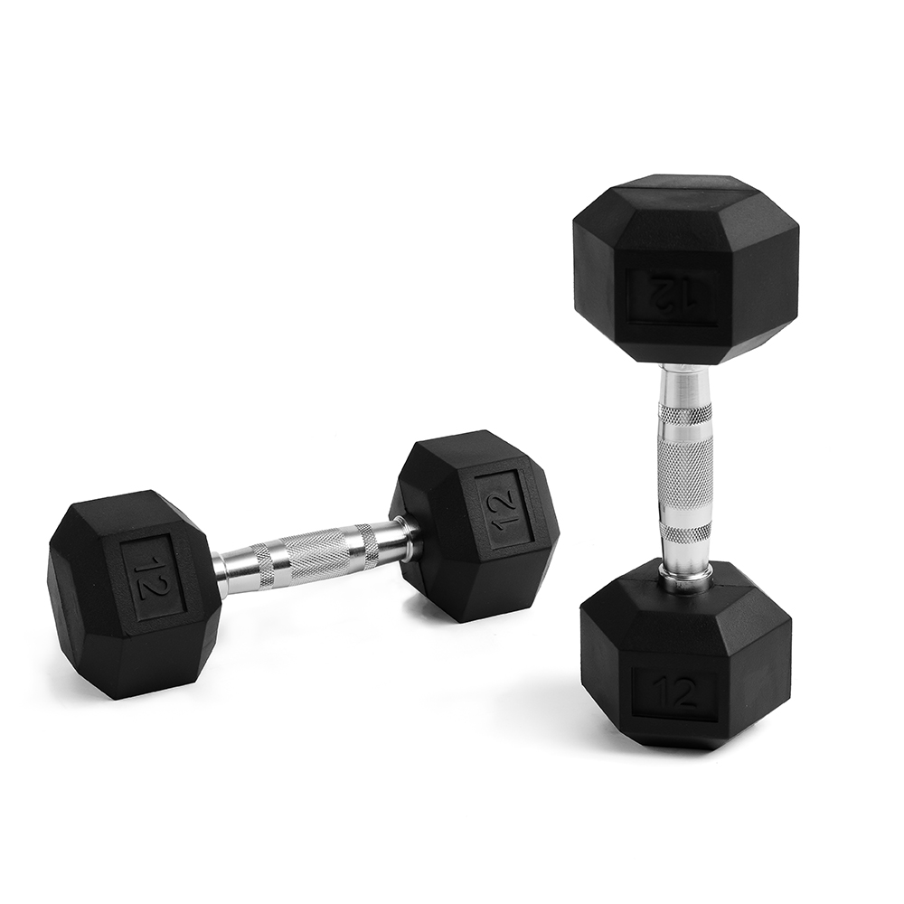 12LB Rubber Coated Cast Iron Dumbbells with Chrome Handle Hexagon ...